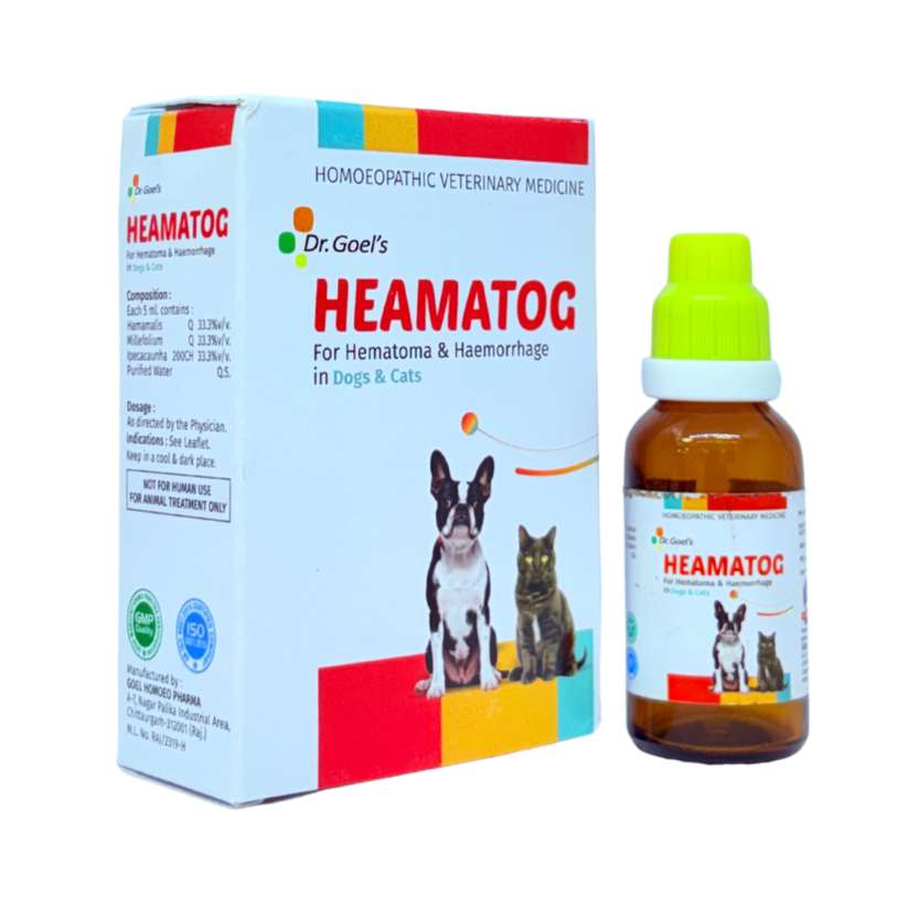 HEAMATOG For Hematoma & Haemorrhage in Dogs & Cats – Goel Vet Pharma