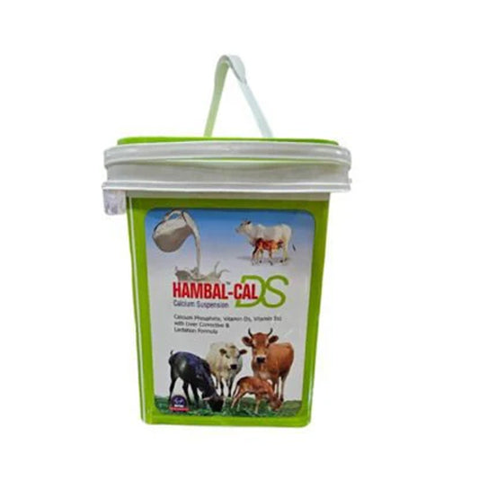 Hambal CAL-DS 5L | Nutritional Supplement for Cattle & Poultry – Goel ...